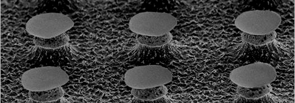 I-HUB Quantum Technology Foundation